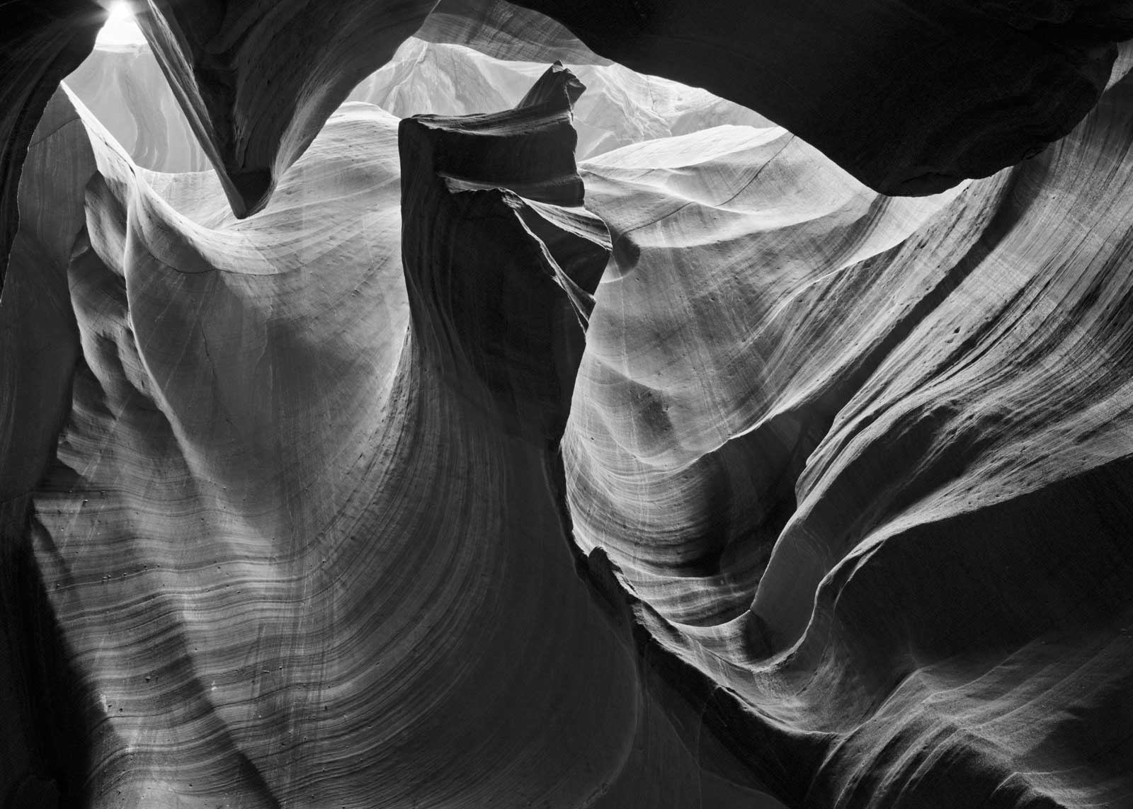 Wei Ming Yuan - katsumiyamato